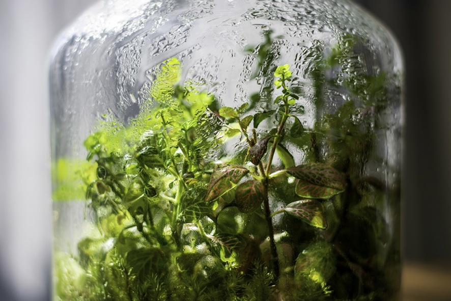 Elements of the indoor climate | int.swegonairacademy.com